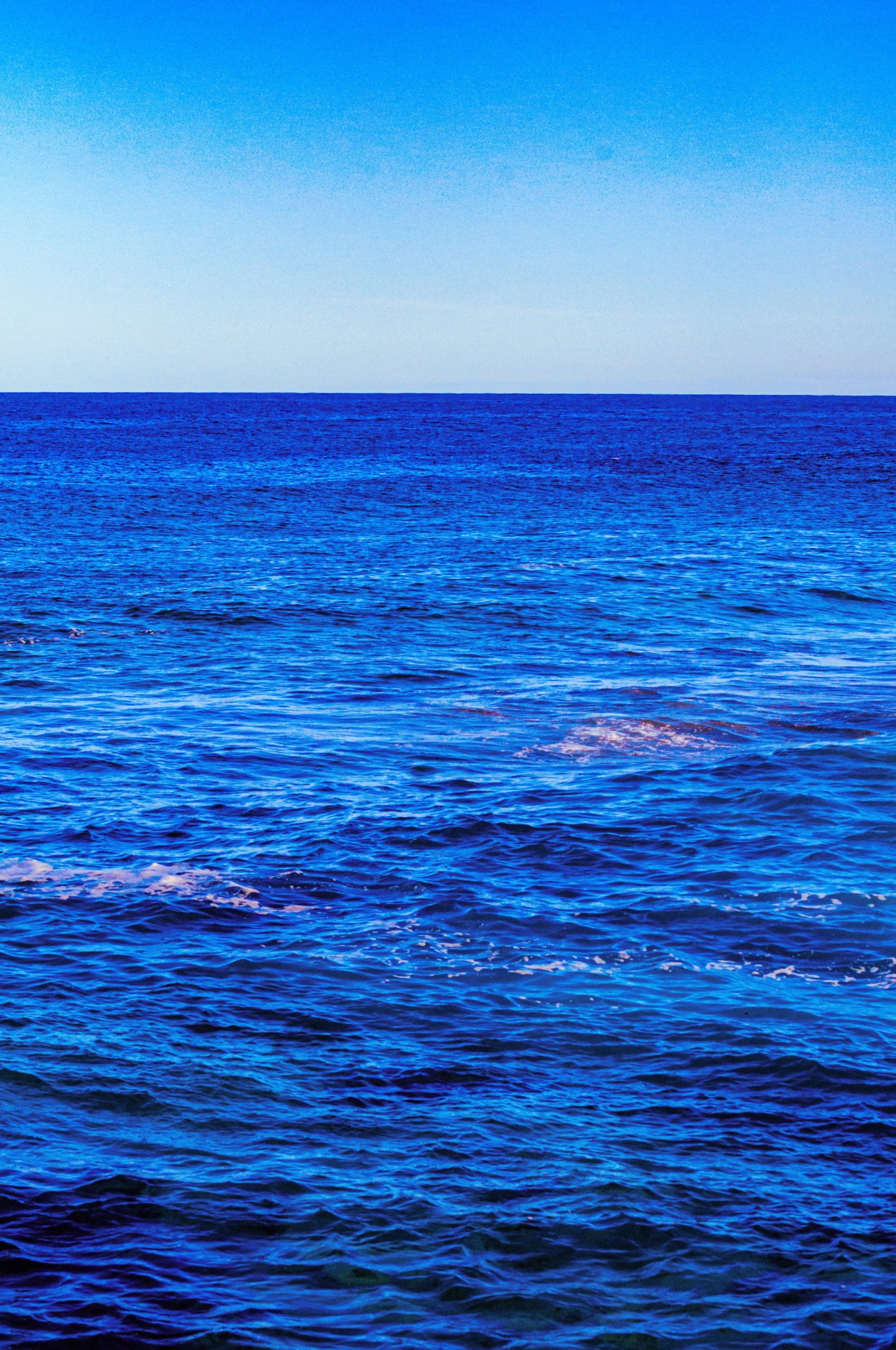 GenHive – Consulting company specialising in Financial Services